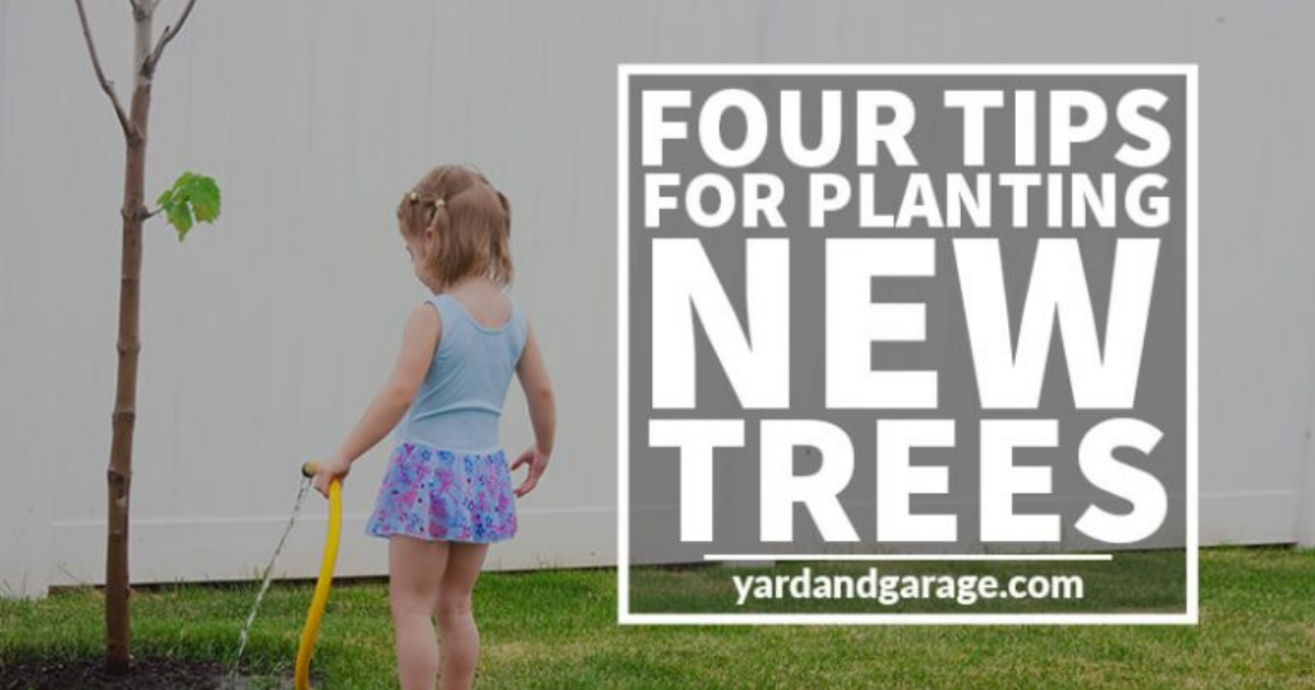4 Tips for Planting New Trees | Yard and Garage – Yard and Garage