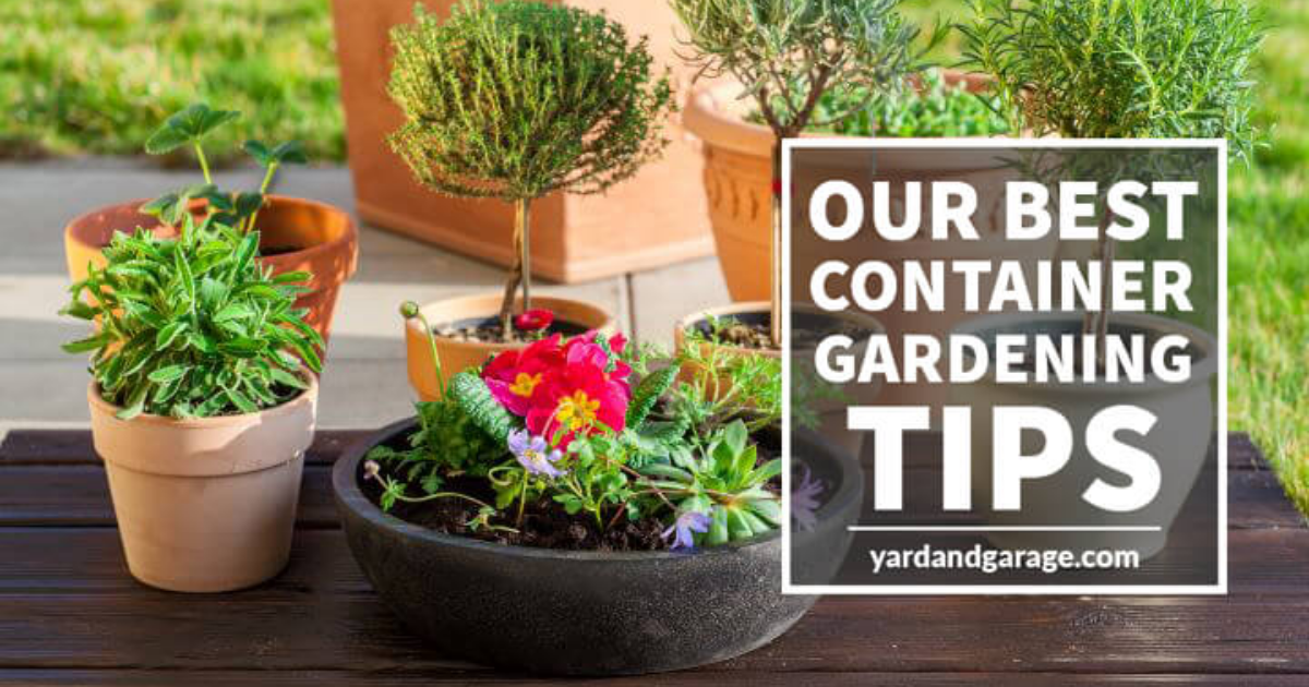 10 Helpful & Easy Container Gardening Tips – Yard and Garage