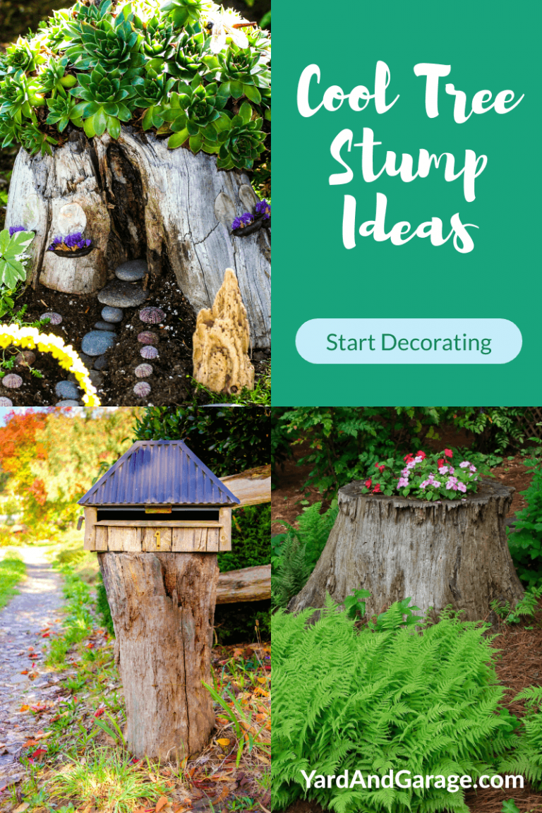 The Best Tree Stump Ideas for Decorating and Repurposing – Yard and Garage