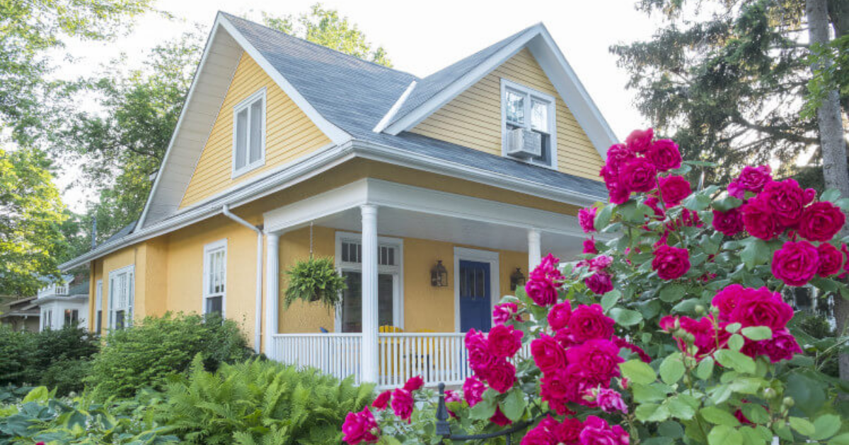 FAQ for Growing Roses – Yard and Garage