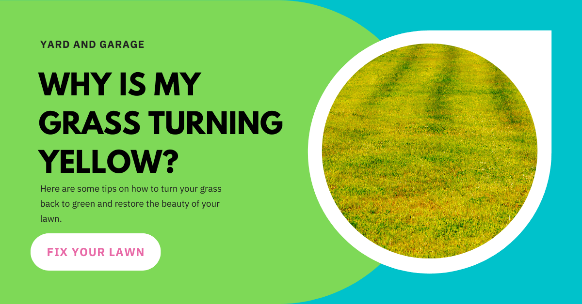 Why Is My Grass Turning Yellow? – Yard and Garage Why Is My Grass Turning Yellow? – Yard and Garage